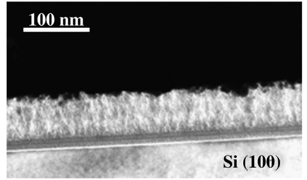 Tem picture of the thin film cross section—8 scans, d = 25