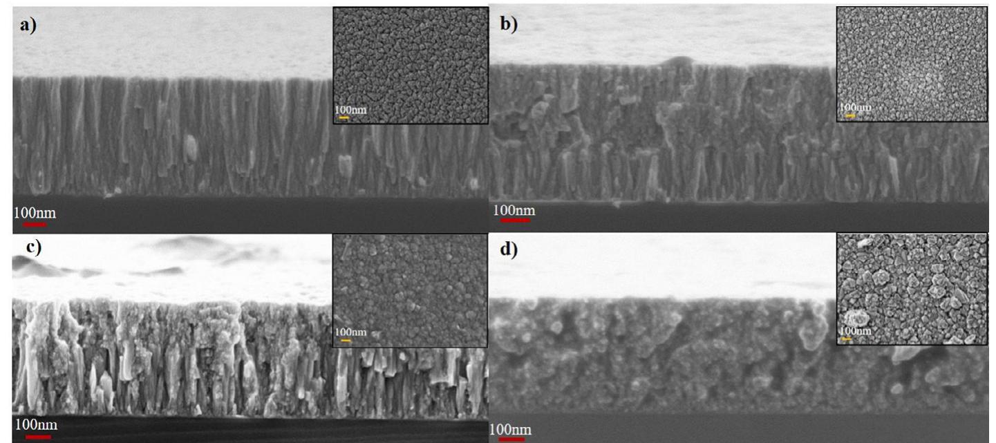The fracture cross-sectional sem images showing the