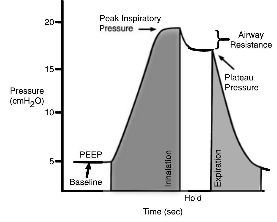 During the inspiratory phase of a positive pressure breath,