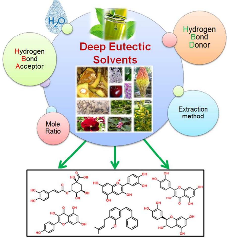 (PDF) Application of Deep Eutectic Solvents (DES) for Phenolic ...