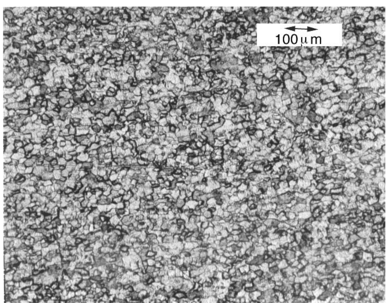 Optical micrograph showing the small and uniform grain size