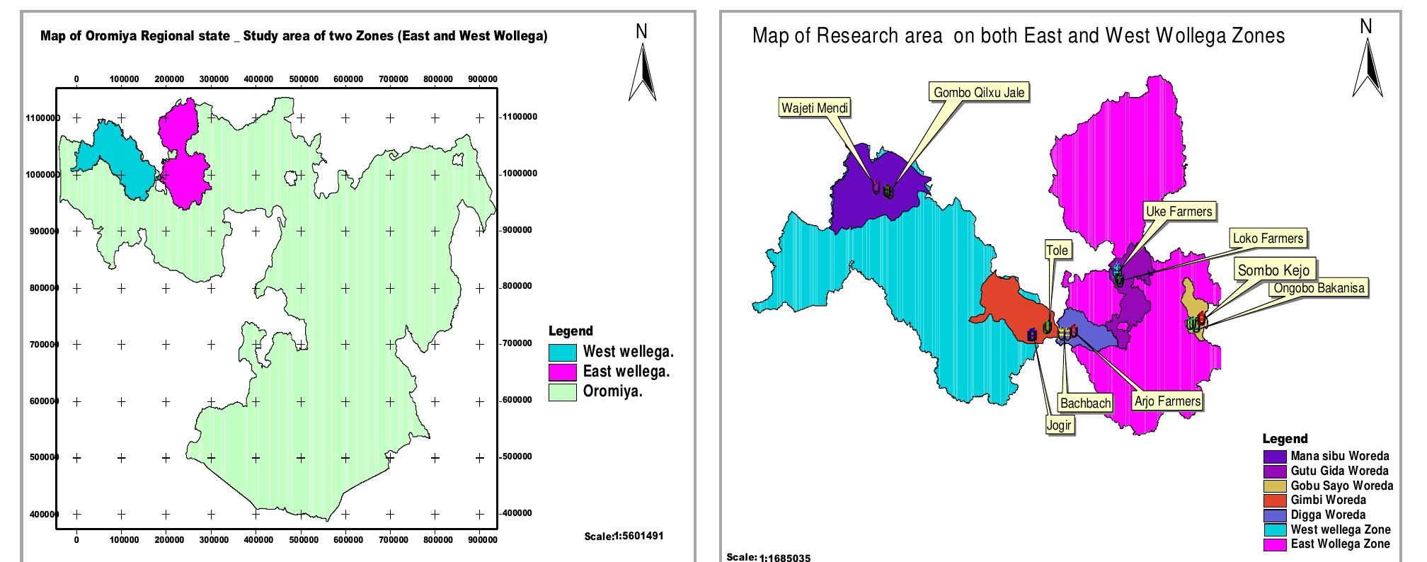 Figure 1 - from White Mango Scale, Aulacaspis tubercularis,