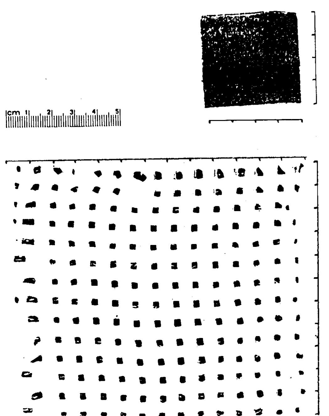 Allograft strip b before and after expansion with the meek
