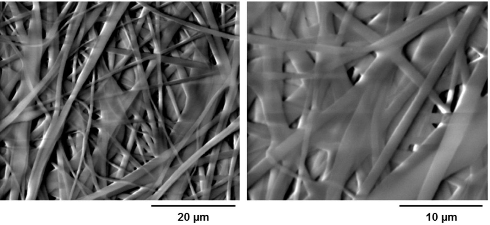 Sem images of the spent sorbent f5 after centrifugation at