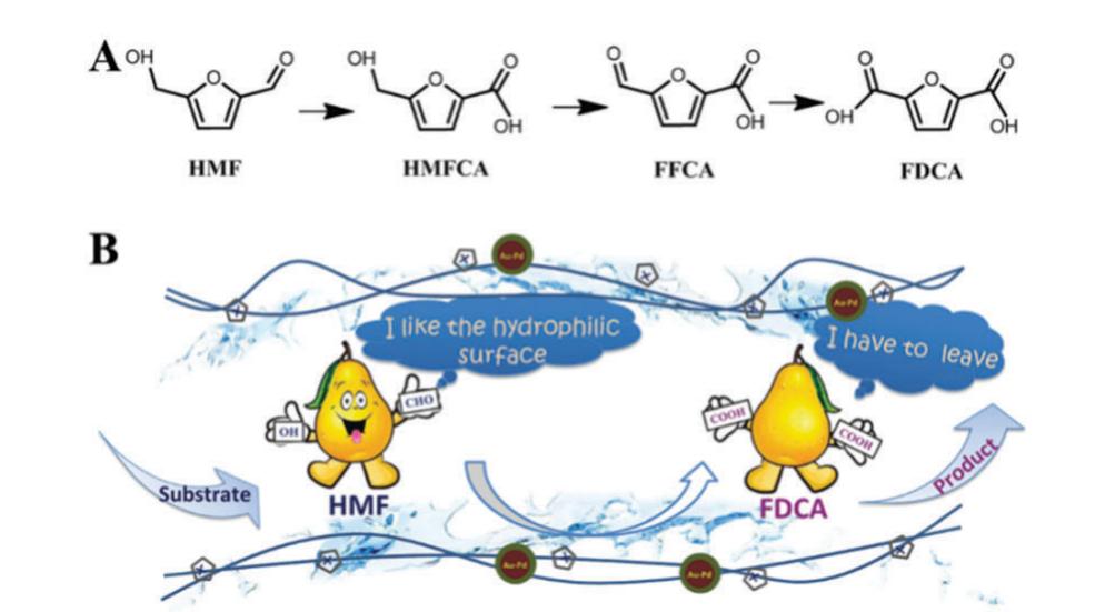Proposed reaction pathway for the oxidation of