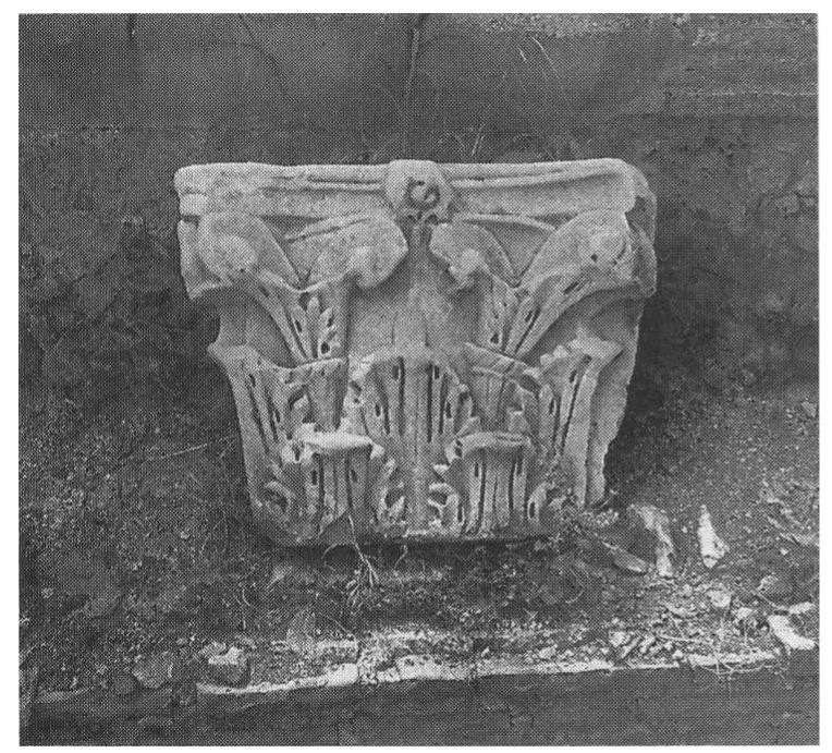 Fic. 22. corinthian pilaster capital d. peri- style, west