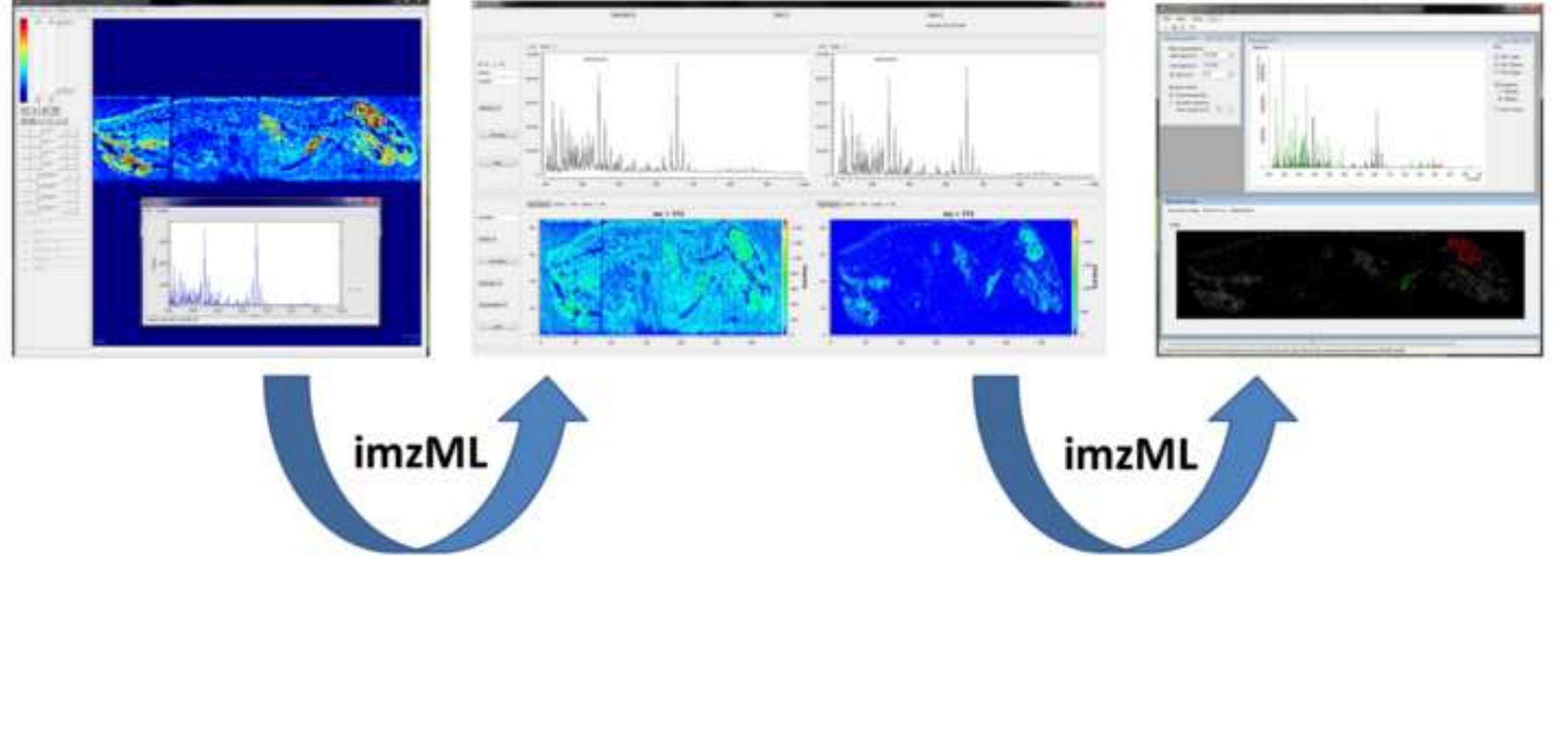 Figure 1 - imzML — A common data format for the flexible