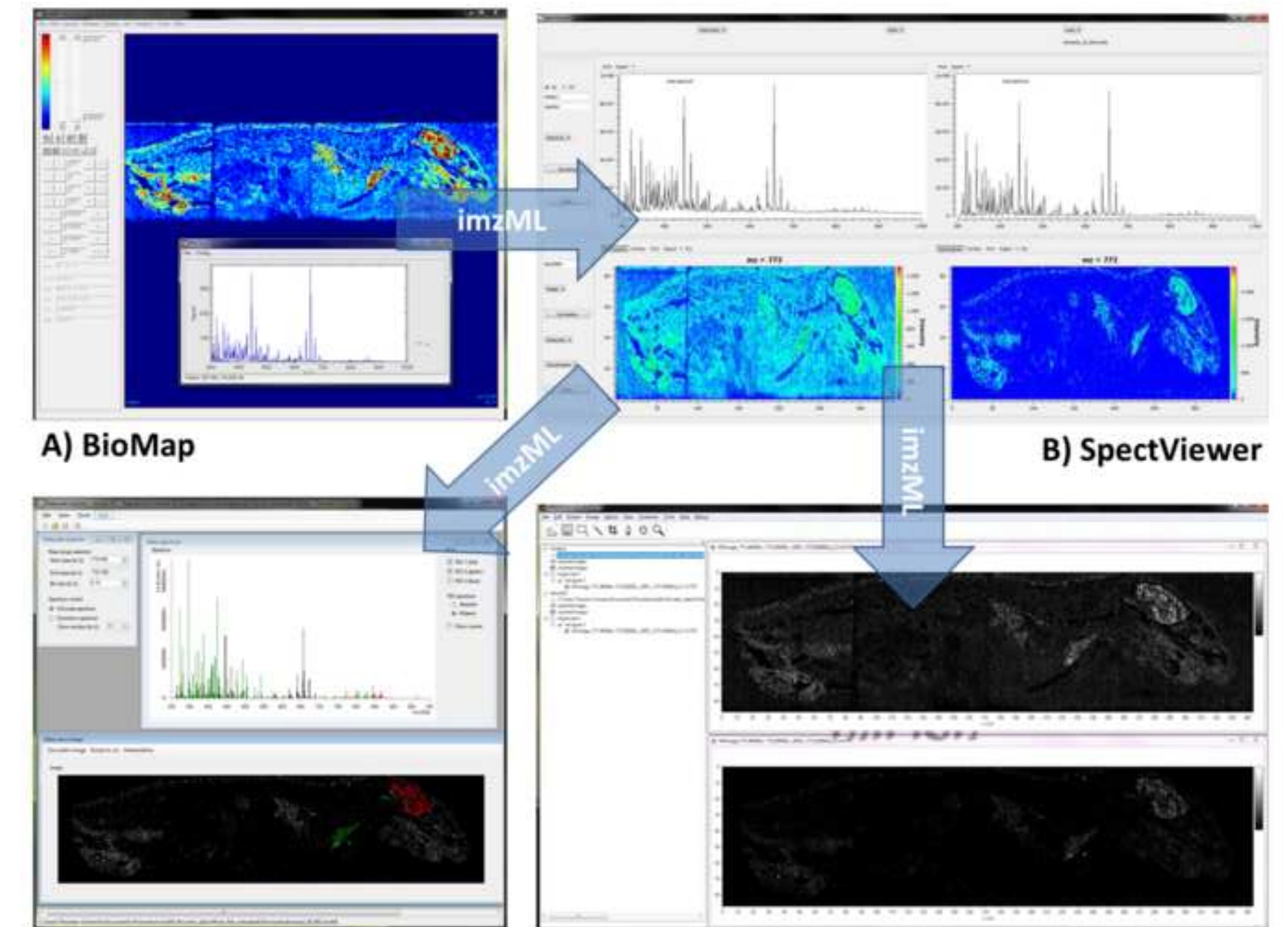 Figure 3 - imzML — A common data format for the flexible