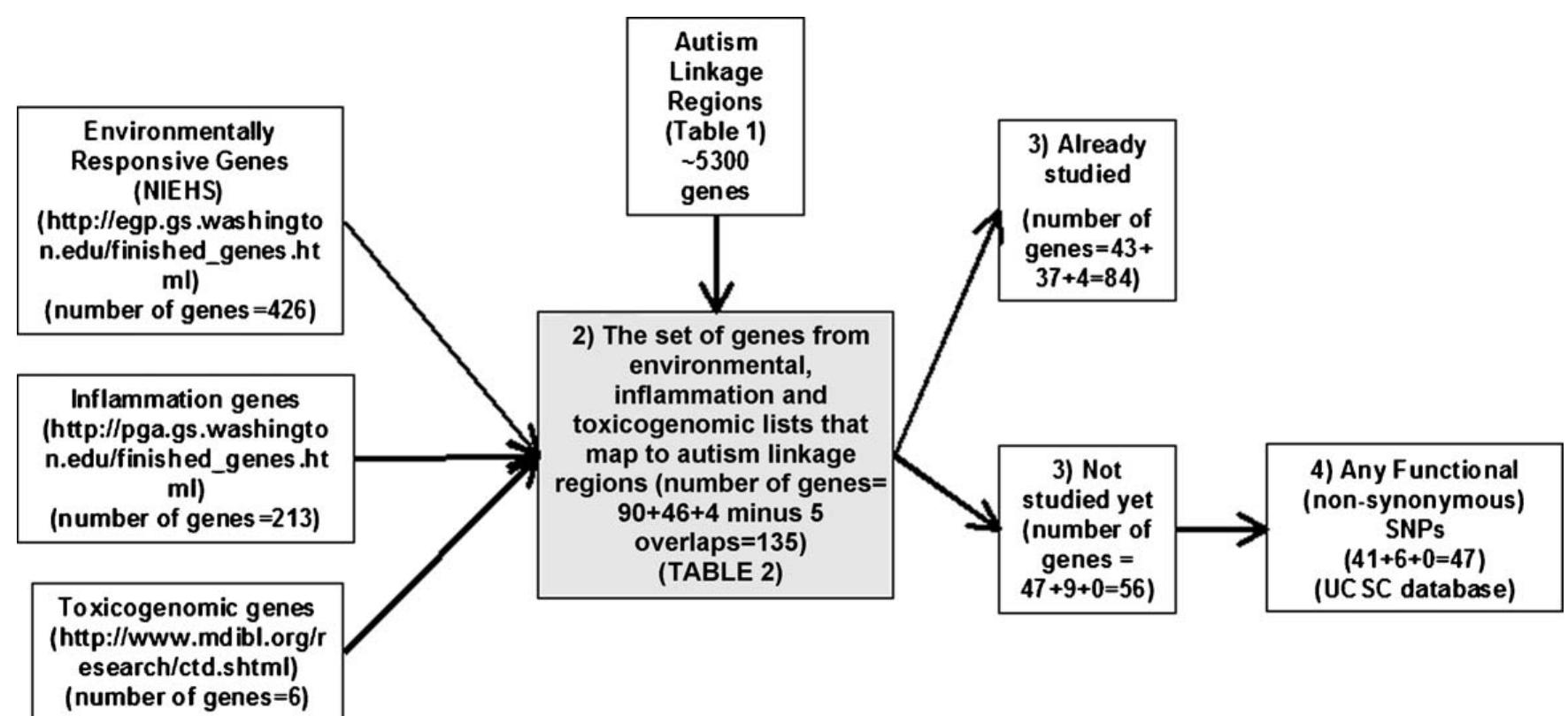 Bioinformatics methodology. the flow chart illustrates the