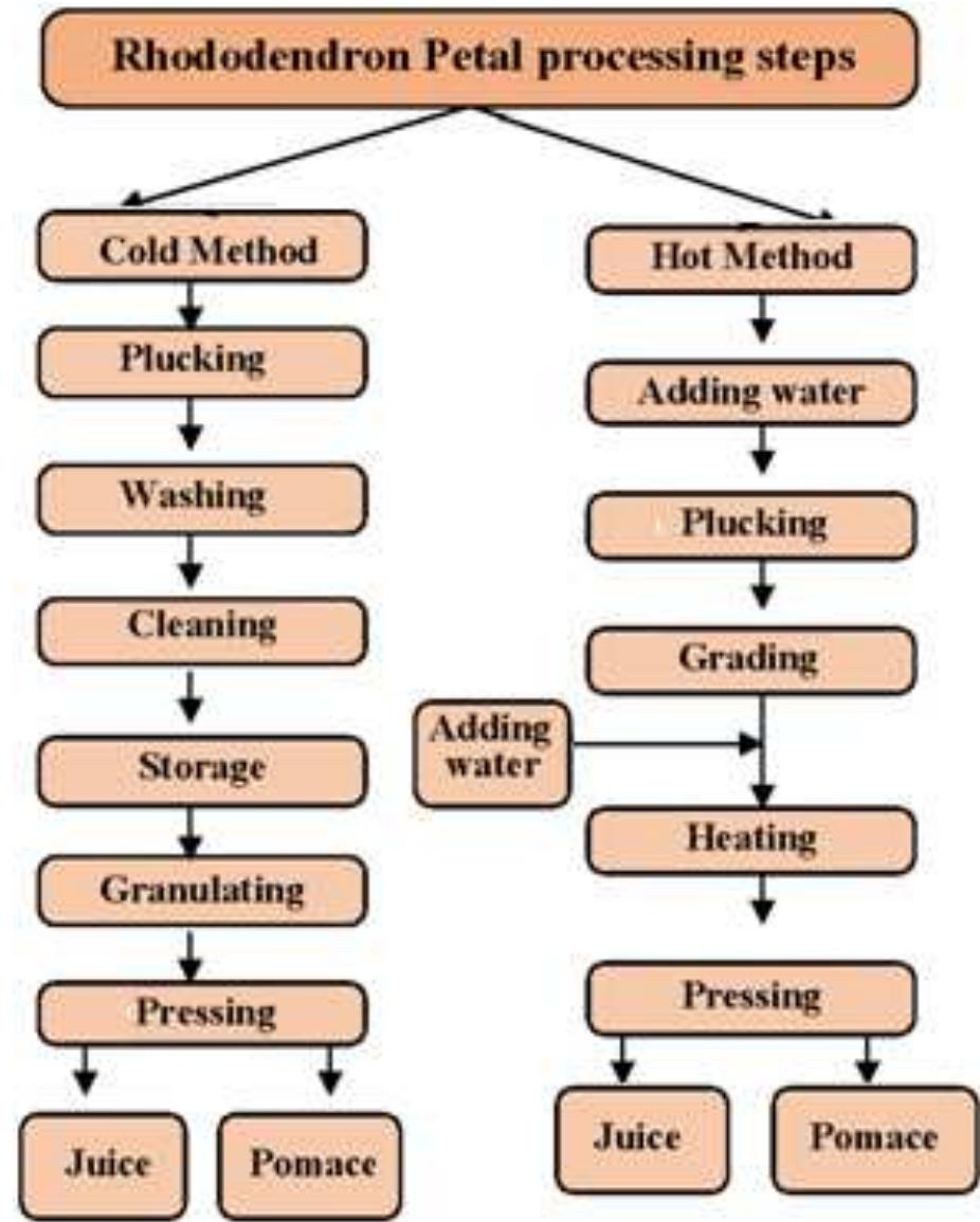 Diagram 1: flowchart showing a brief set up process for the