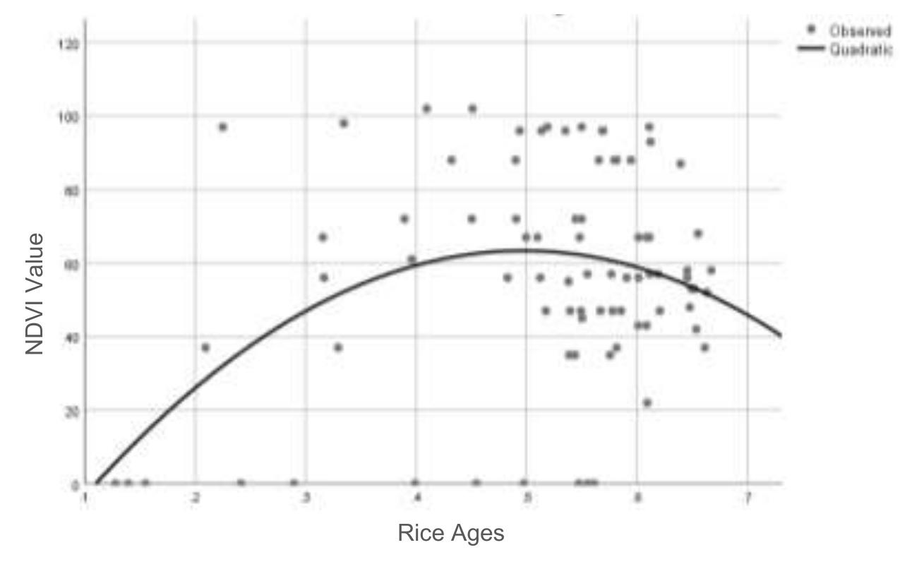 Figure 5 - Rice Crop Phenology Model to Monitor Rice