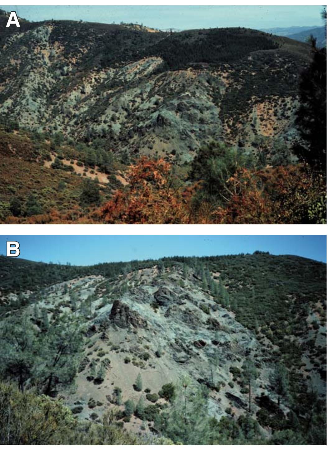 Outcrop scale view of serpentinite broken formation, black