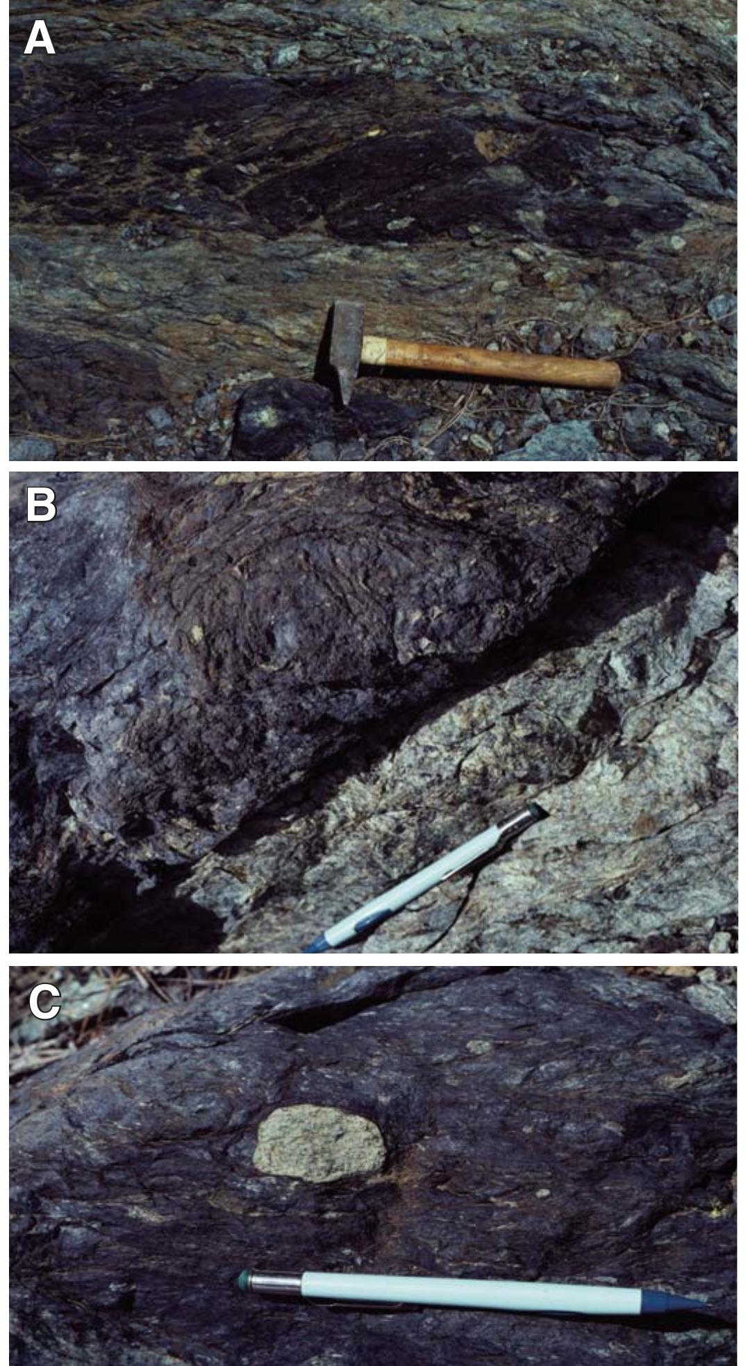 Outcrop close-ups of sheared serpentinite matrix, tehama
