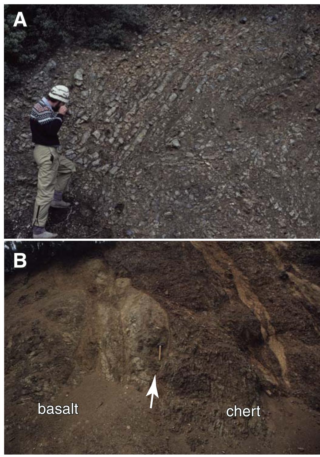 Outcrop photos of chert blocks in the tehama mélange. (a)