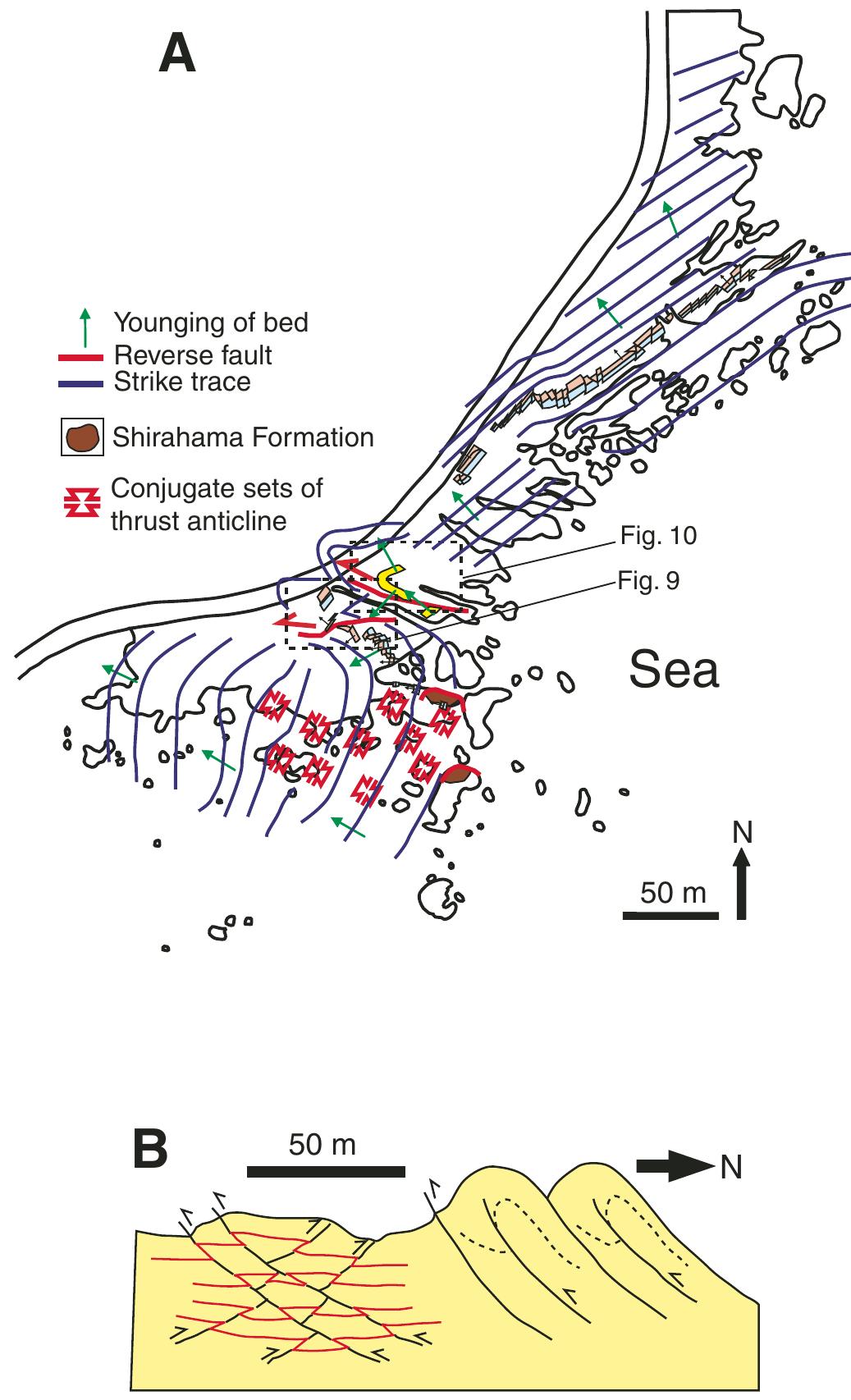 (a) sketch map of the okawa area, showing thrust anticlines
