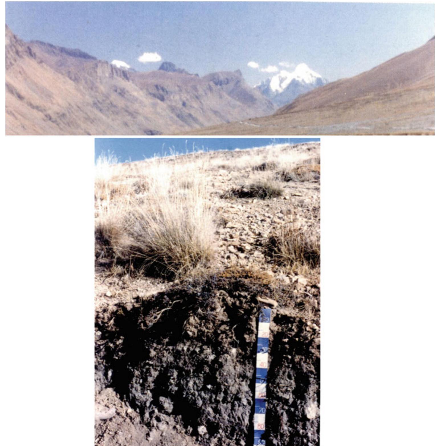 Figure 3 - Benchmark Soils in Agro-ecological Regions