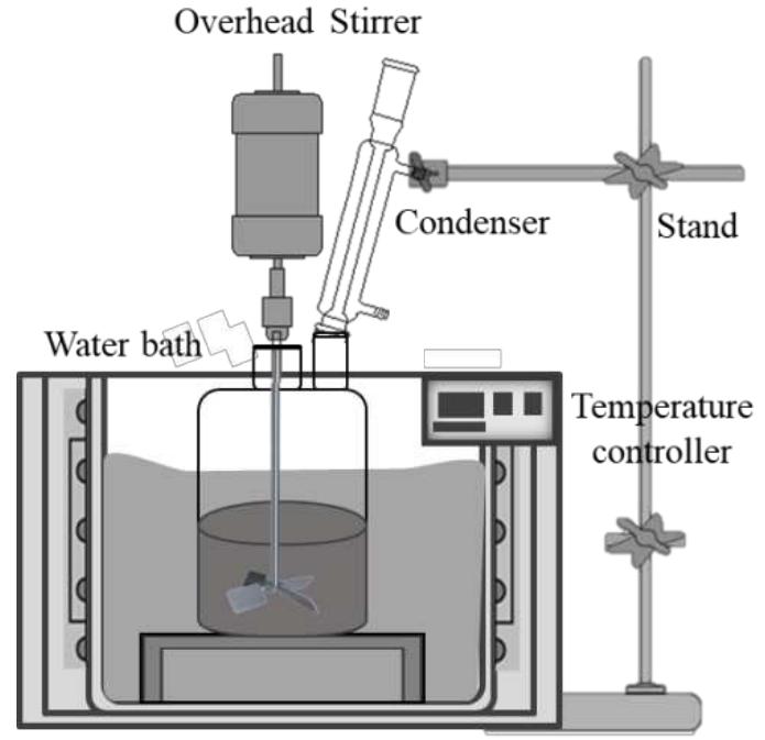Schematic diagram of biodiesel production via homogeneous