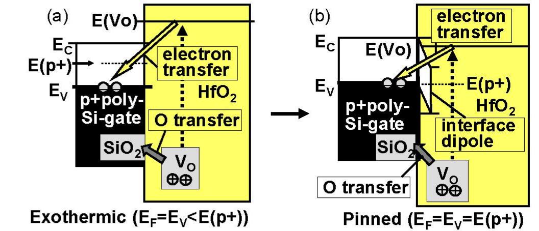 Schematic illustration of the mechanism of fermi- level