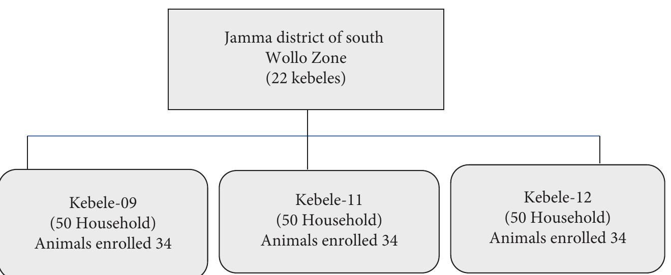 Graphic illustration of the sampling procedure for selecting