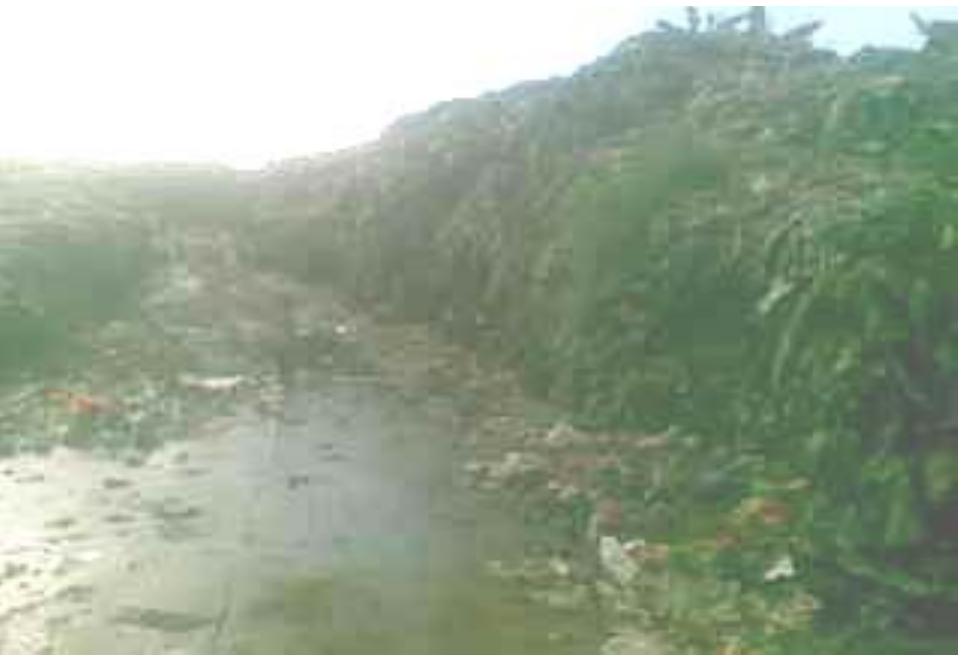 (PDF) Assessment of Solid Waste Management in the Islamic City of ...