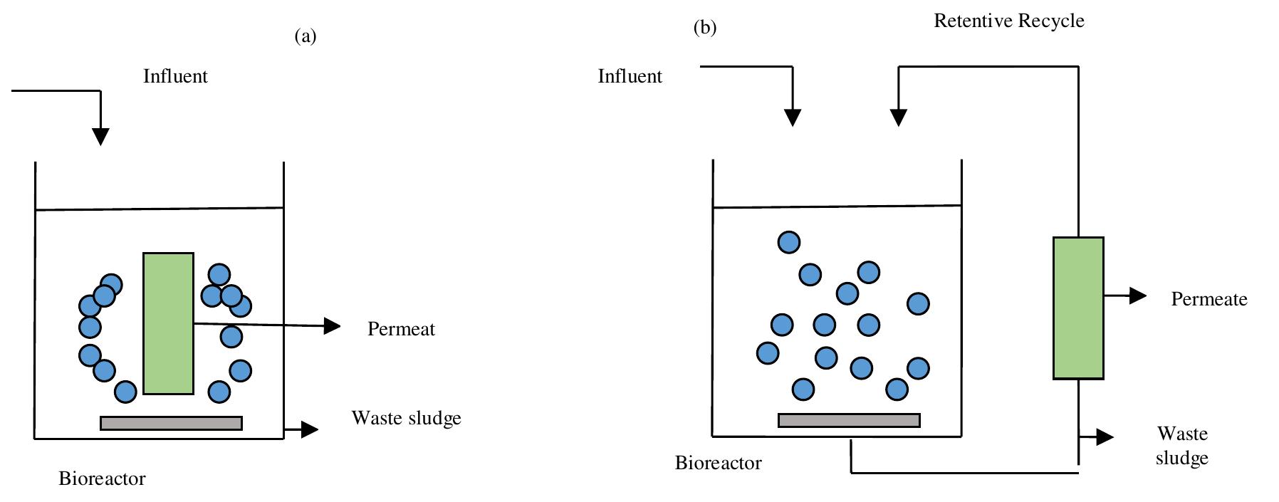 The configuration of mbr system: (a) submerged mbr and (b)