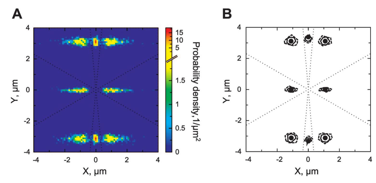 Regardless of the differences in the participation of