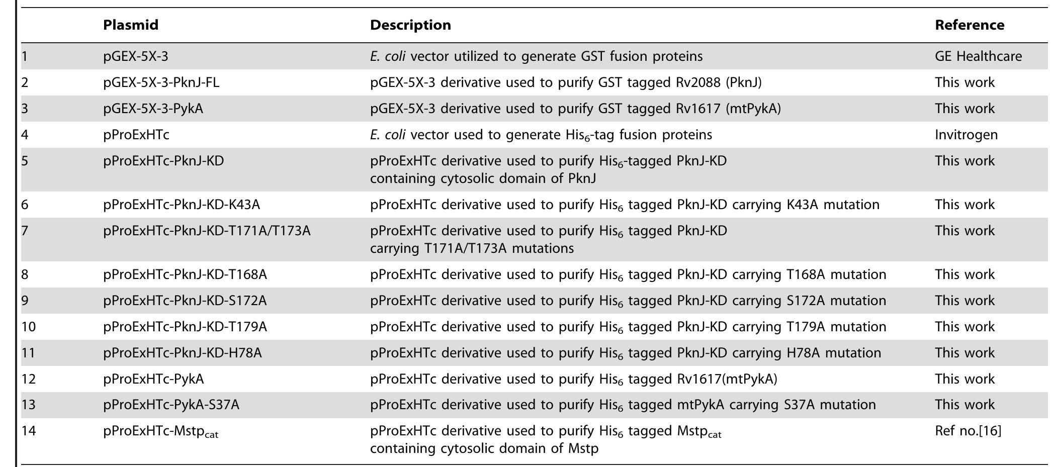 (PDF) Understanding the Role of PknJ in Mycobacterium tuberculosis ...