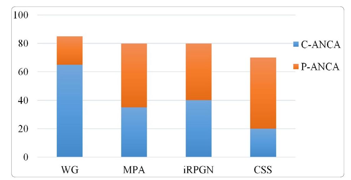 Anca frequencies invasculitis [4]. in p-anca reactivity, mpo