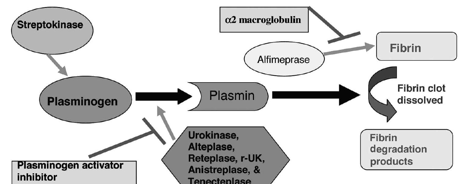 Figure 1 - Thrombolytic therapy for central venous catheter