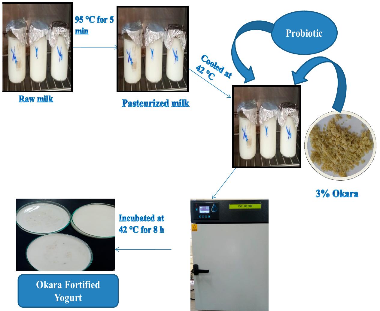 Schematic diagram of okara fortified yogurt (synbiotic