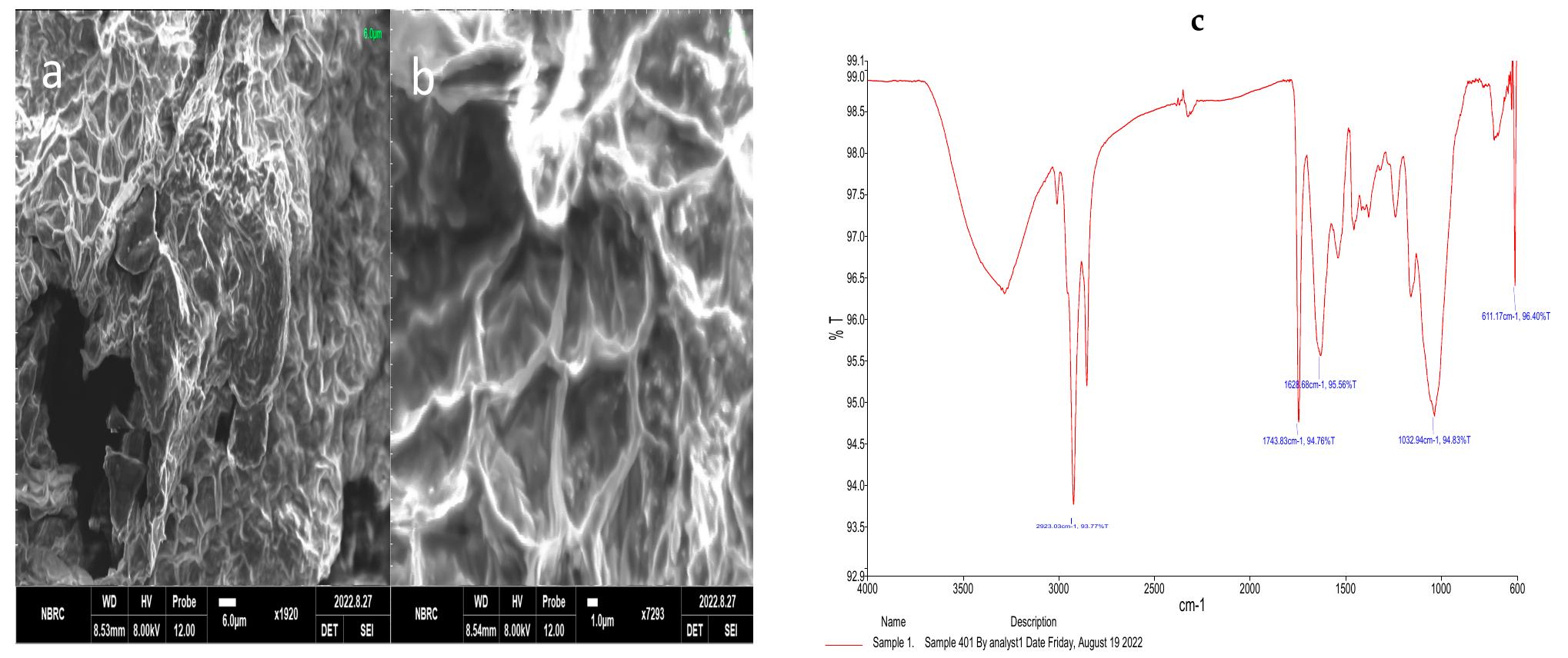 Scanning electron micrograph (sem) images and fourier