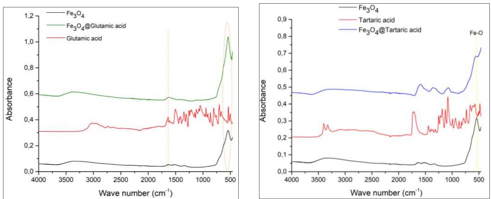 Ft-ir spectra of magnetite, glutamic/tartaric acid and