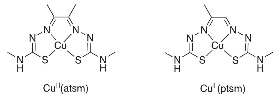The structures of cu" (atsm) and cu'(ptsm). the stability
