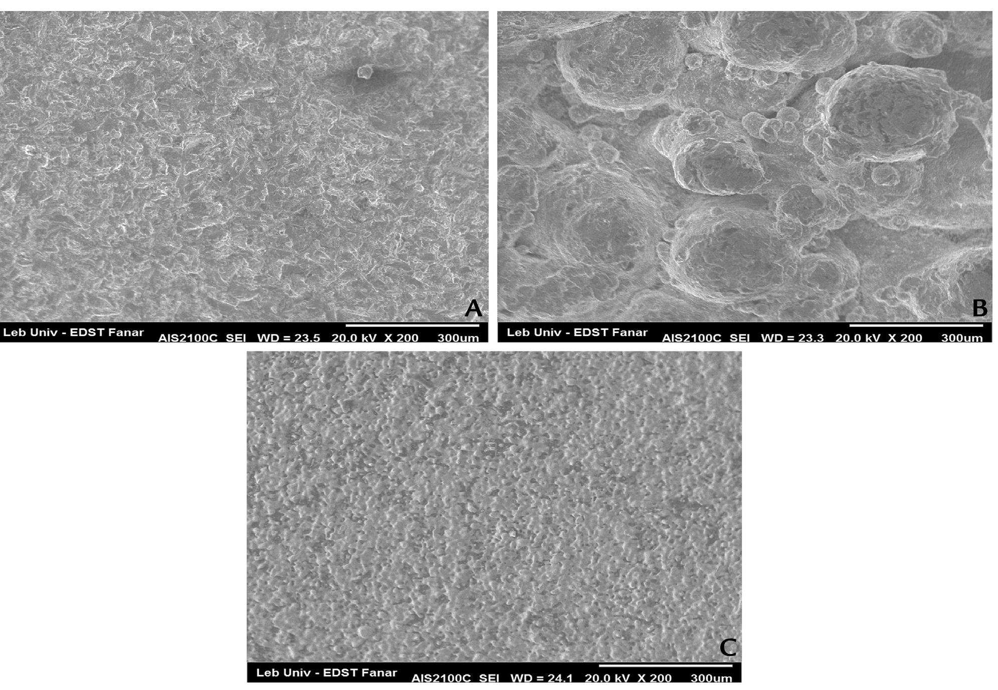 Scanning electron microscope images. a, cast co-cr. b,