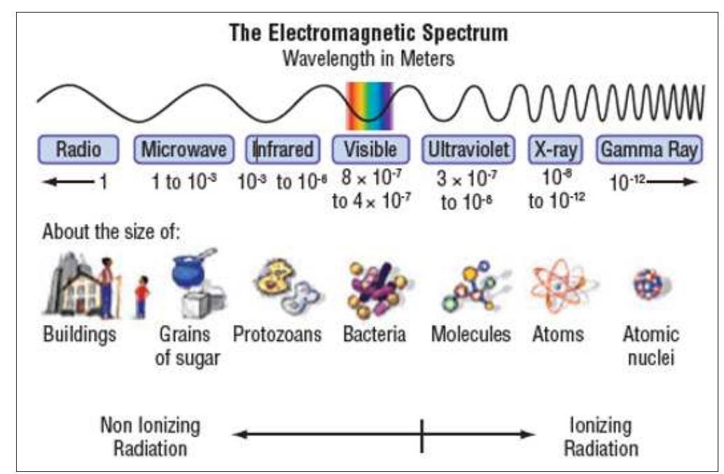 The electromagnetic spectrum of radiation waves (source: