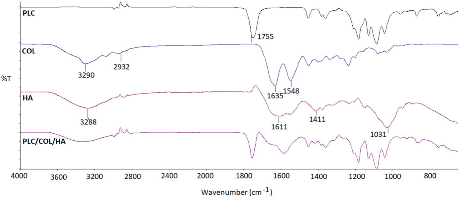 Ftir spectra of plc/col/ha nano/microfibrous scaffold and