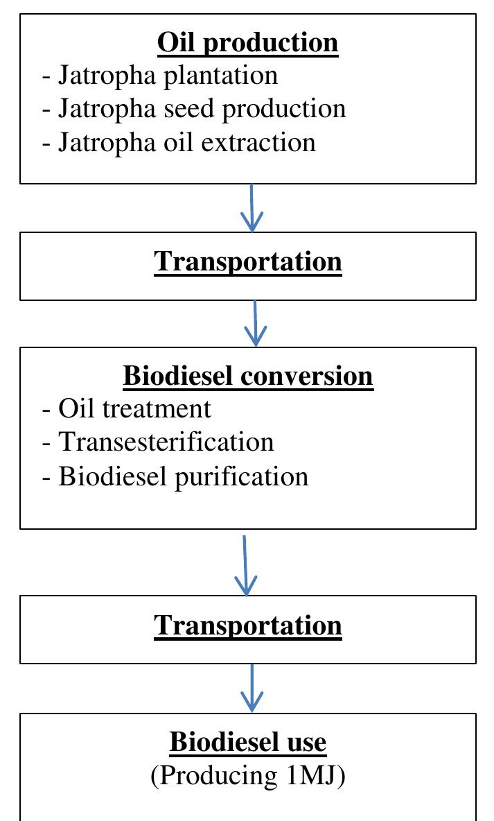 Life cycle of jatropha biodiesel production and use.