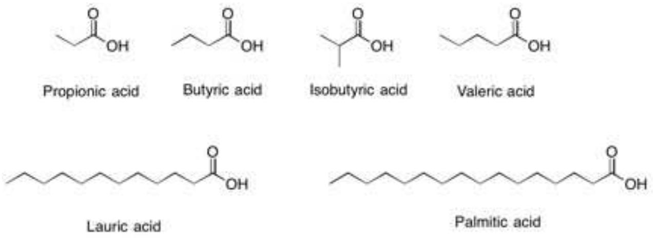 The six different aliphatic acids