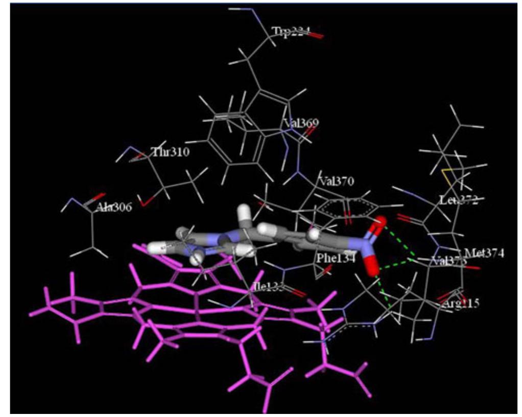 Docked conformation of compound 45 along with the important
