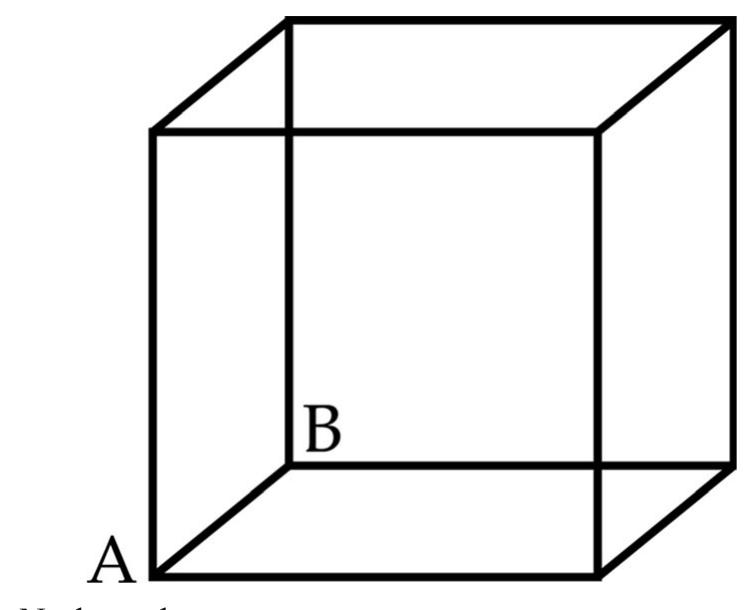 (PDF) The Interface Theory of Perception