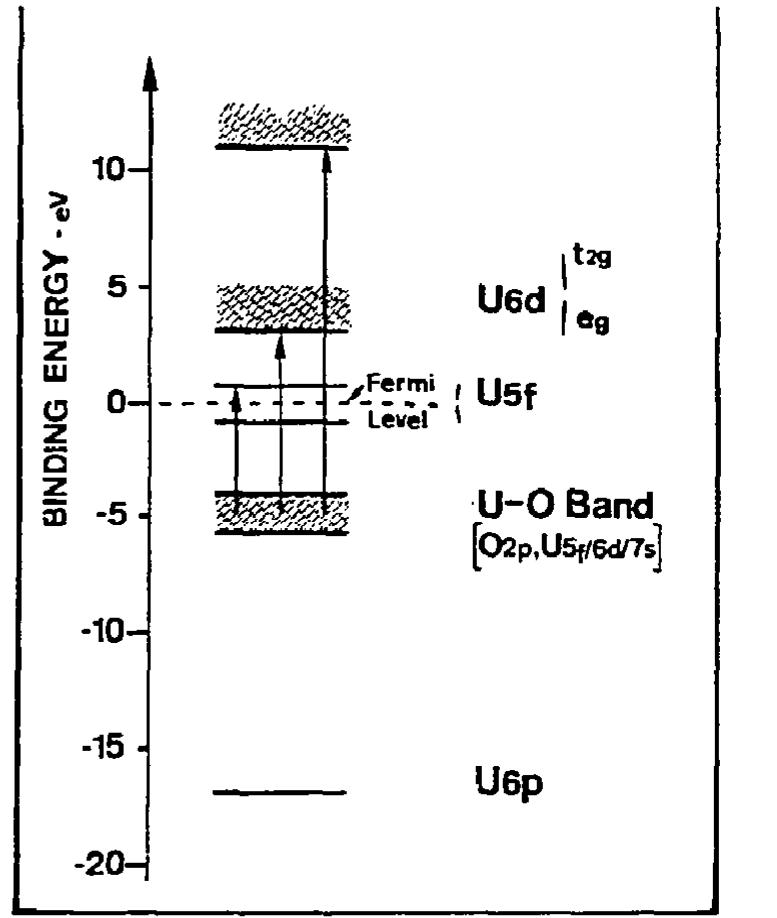 Schematic energy diagram for the valence and conduc- tion