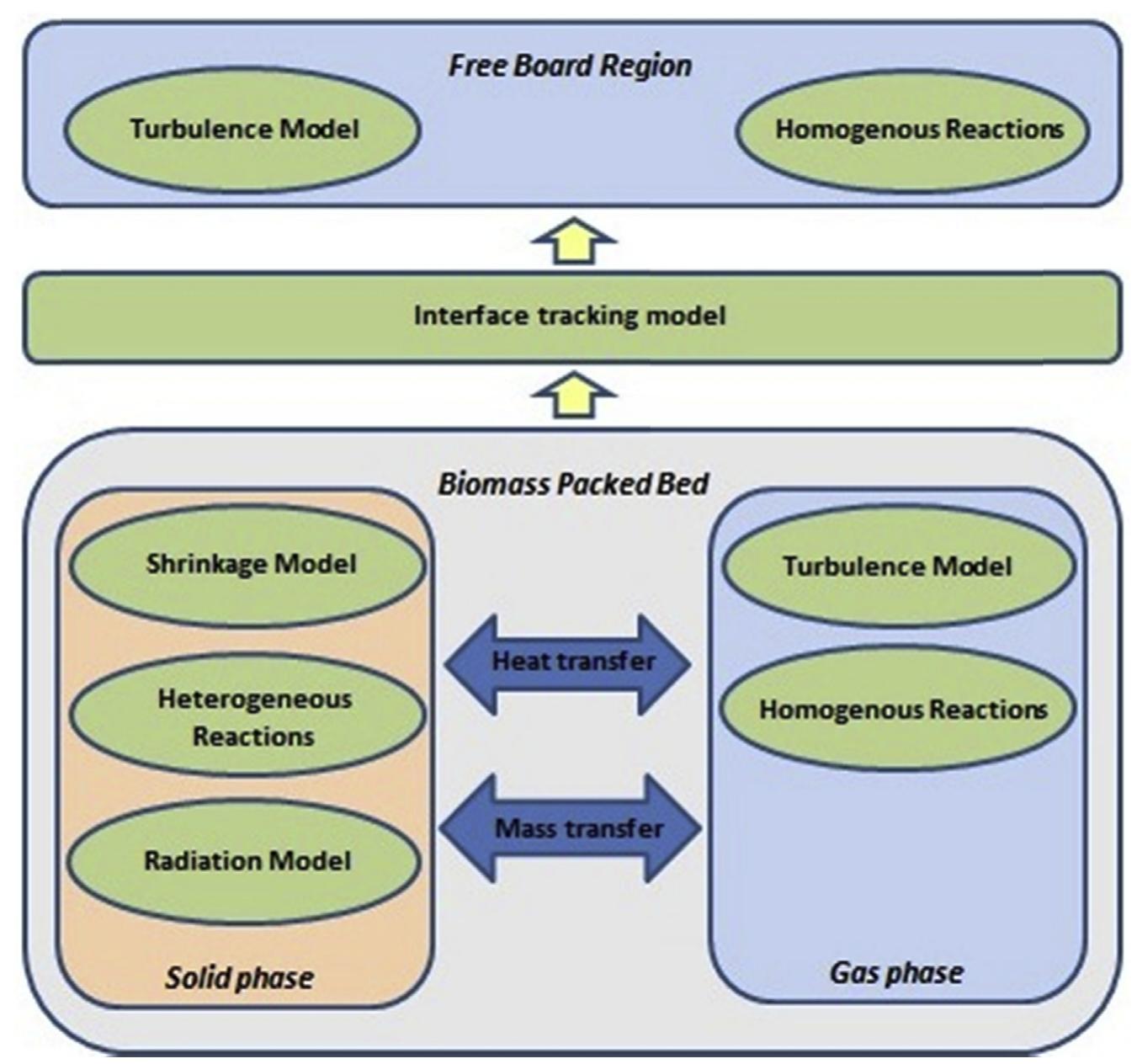 Schematic diagram of the mathematical model. a two