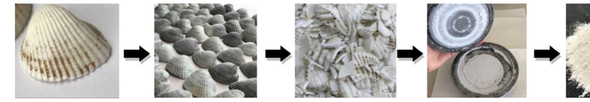(PDF) Utilization of seashells in matte glaze preparation