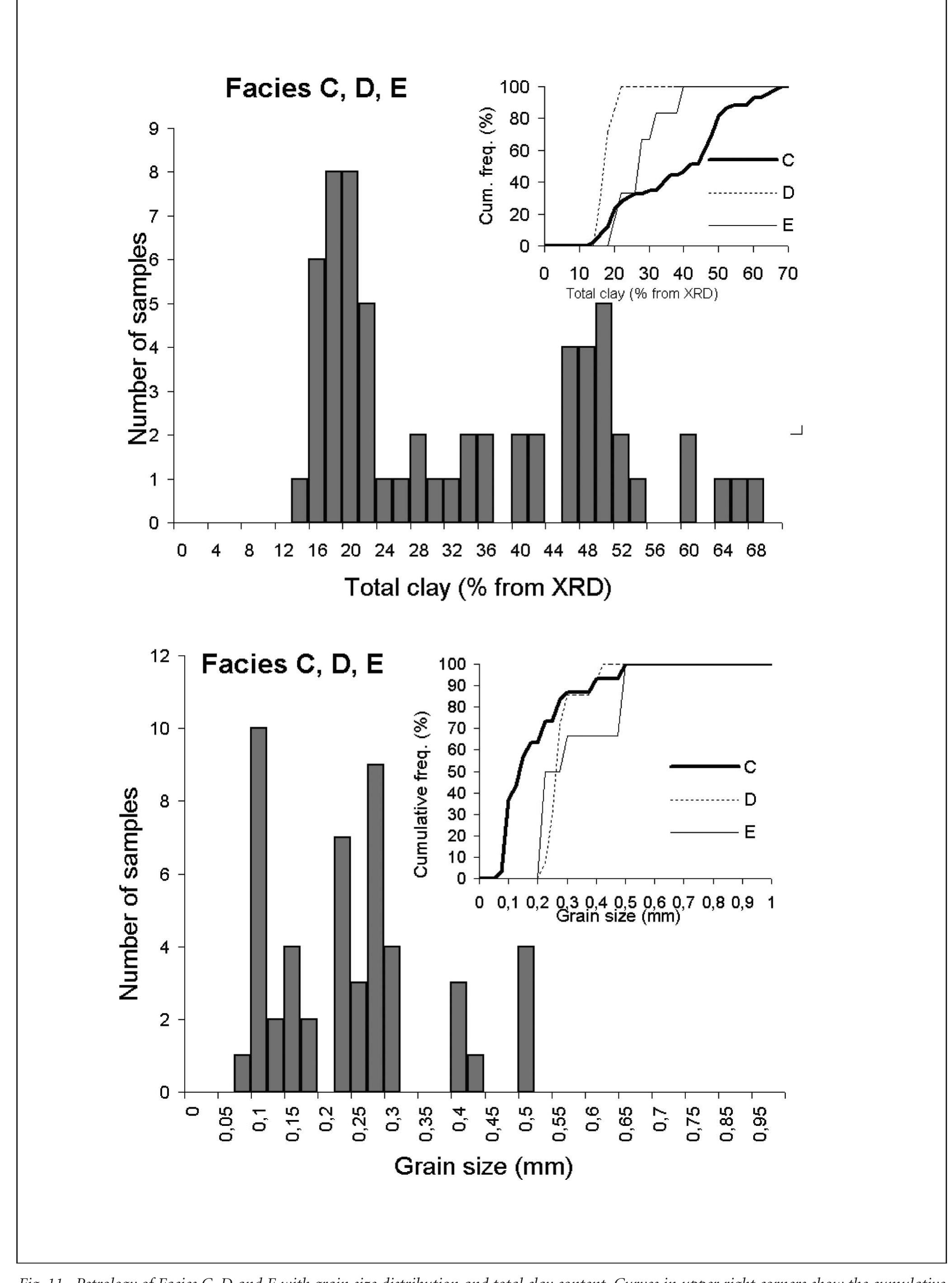 Figure 10 - Depositional facies and reservoir quality of