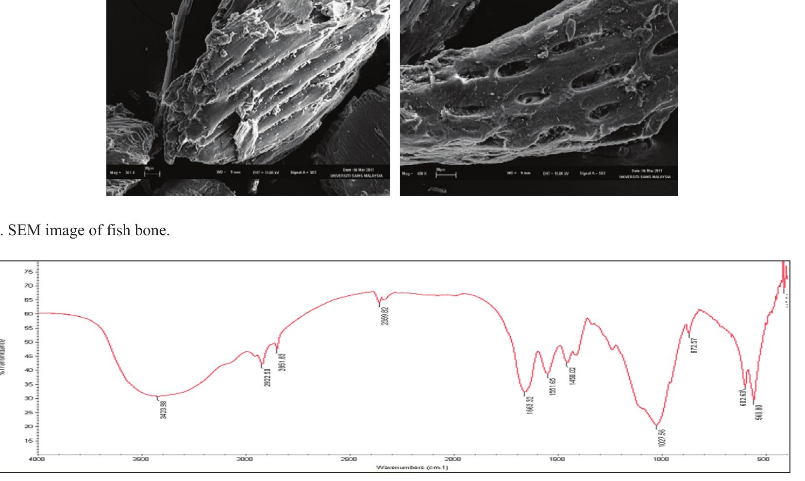 Ftir spectra of fish bone.