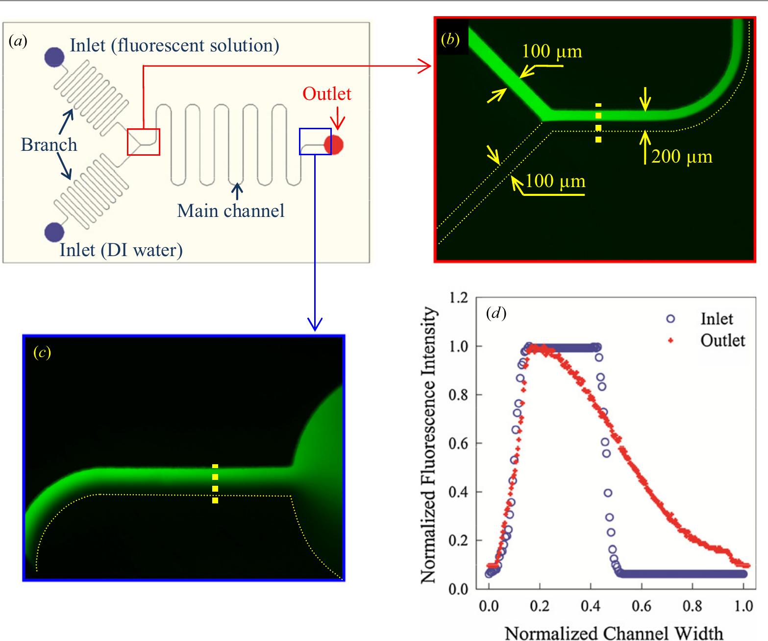 Visualization of fluid mixing between fluorescently-tagged