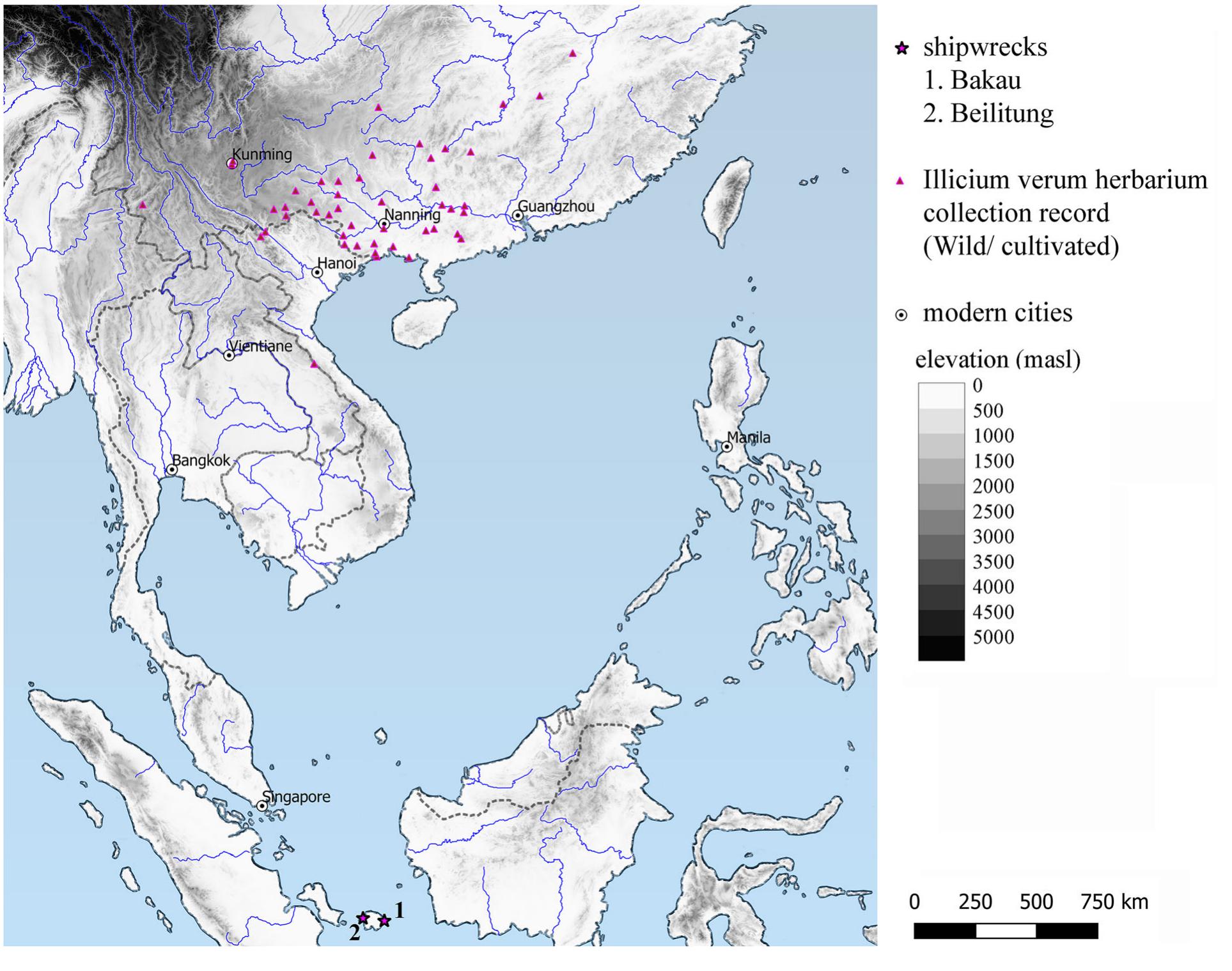 Map showing the location of the shipwrecks mentioned and of