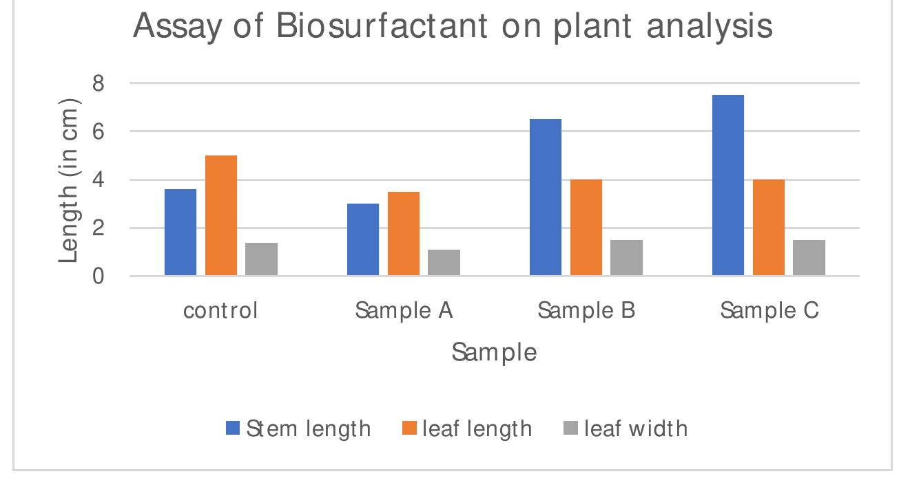 Graphical representation of plant growth assay. Graphical representation of plant growth assay.