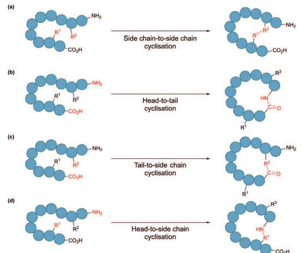 Schematic illustration of cyclisation modes: (a) side