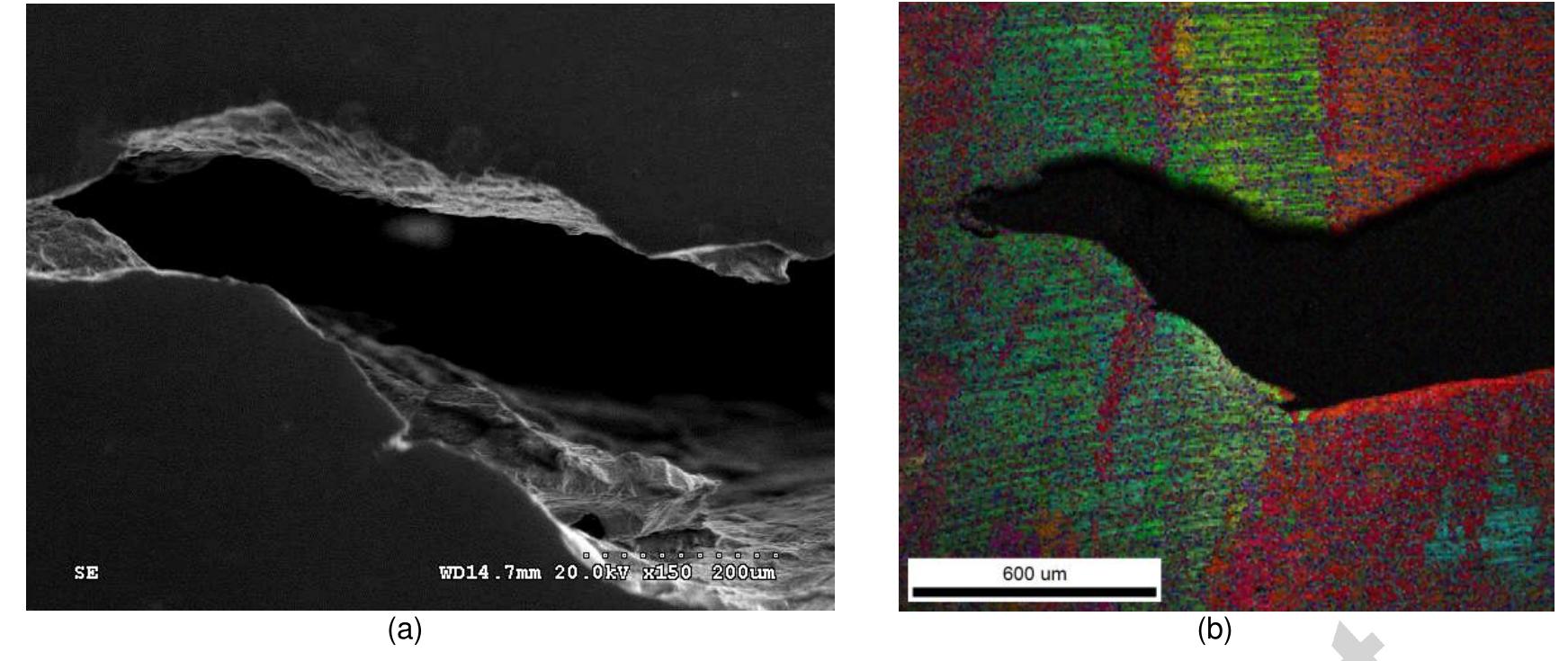 (a) sem fracture surface and (b) ebsd image map of fracture